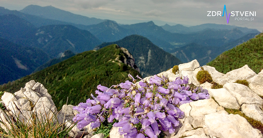Varno v gore – nasveti zdravnikov in gorskih reševalcev ...